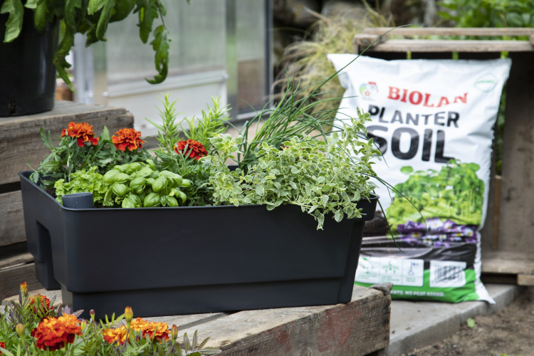 Biolan Planter Soil - www.biolan.com